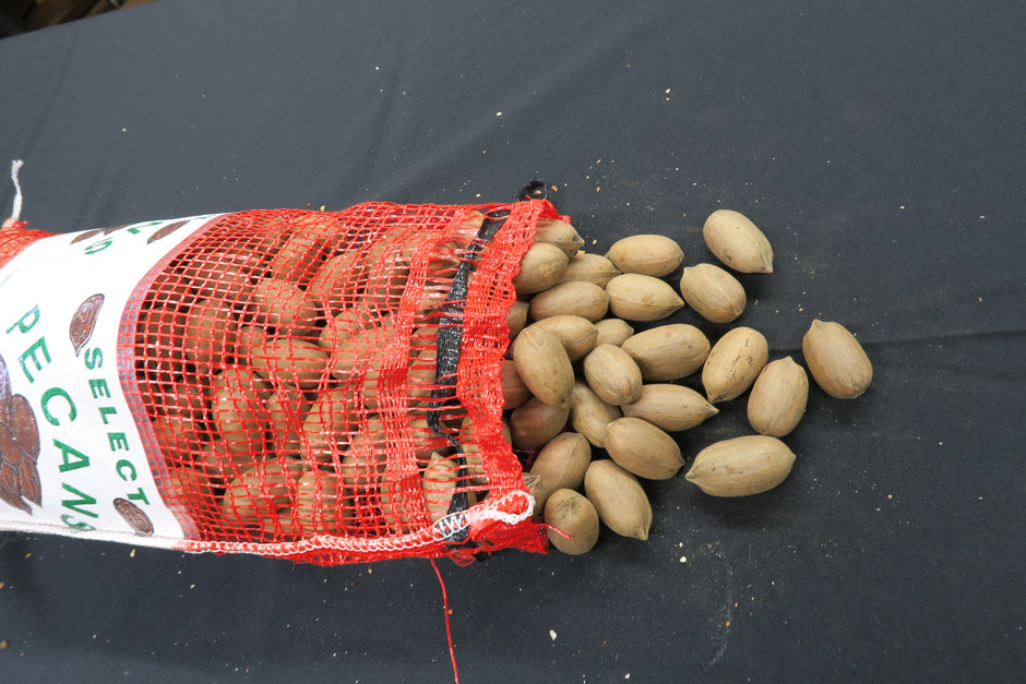 Pecans - In Shell | Shelled | Cracked | Pawnee | Fancy | 1, 3, 5, 15 ...